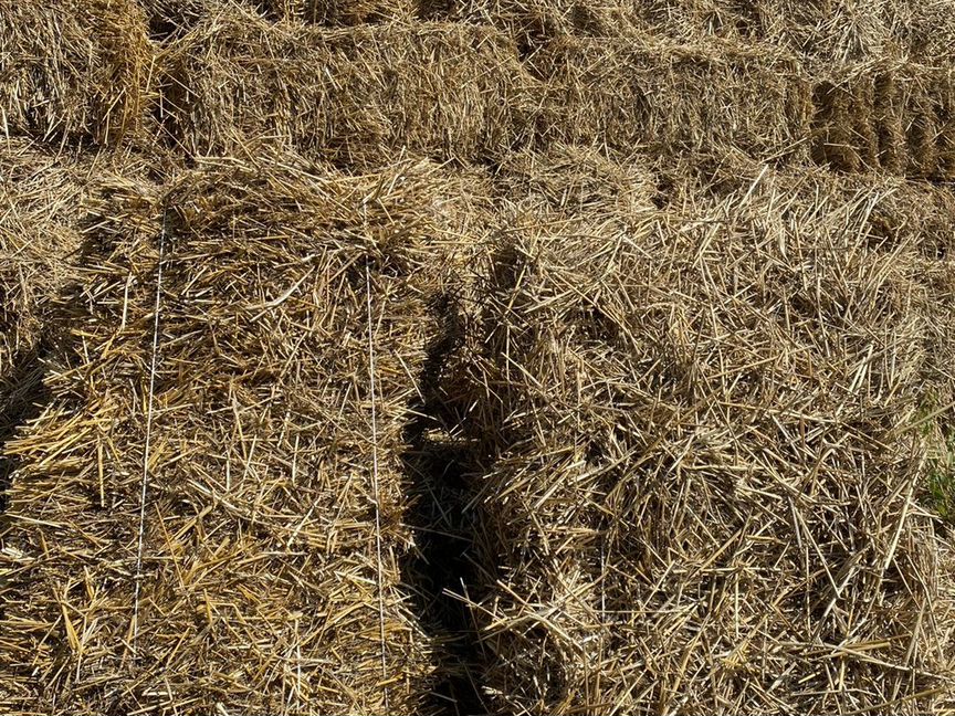 Солома в тюках с доставкой