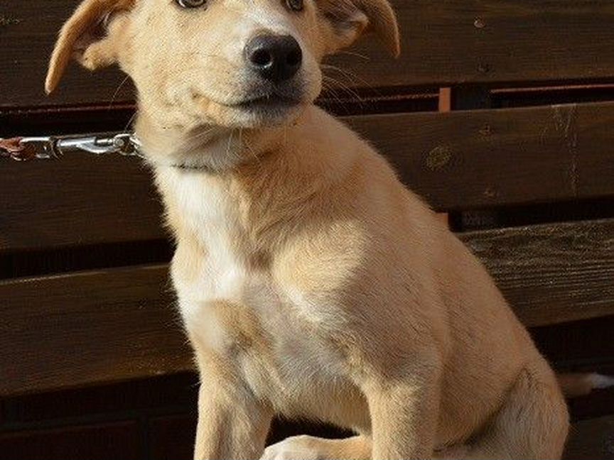 Молодой,обаятельный в поиске дома