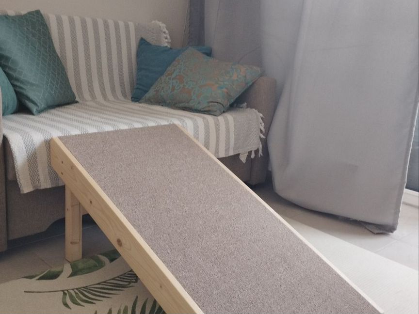 Пандус для крупной собаки