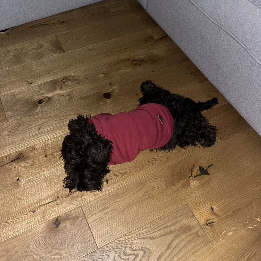 Флисовая кофта для собак