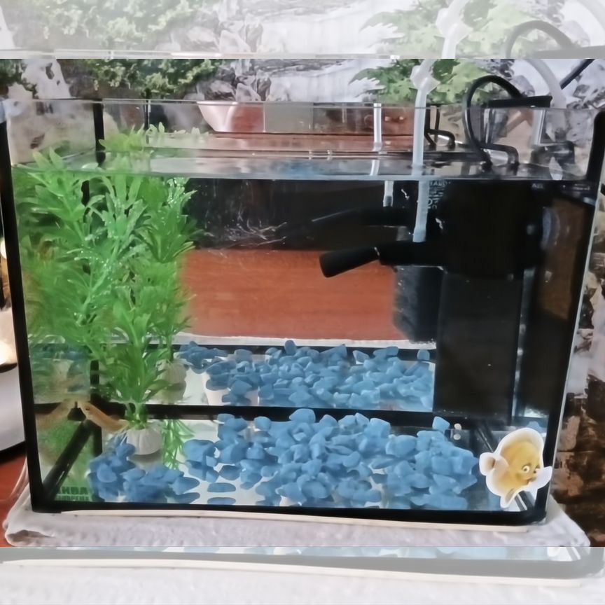 Аквариум с рыбками