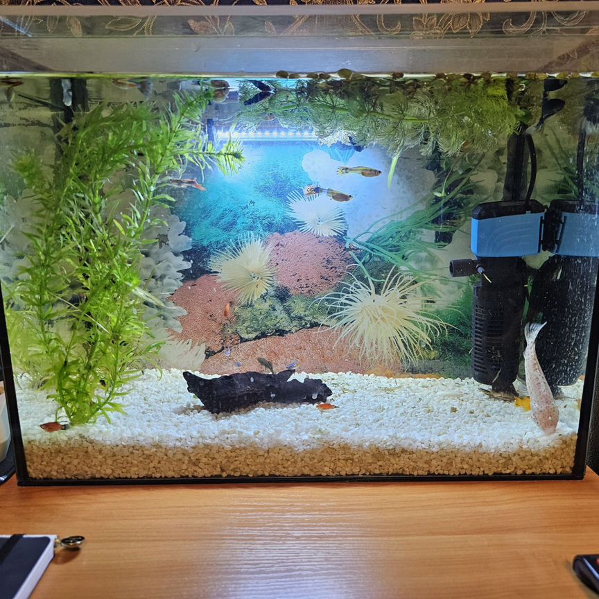 Аквариум 34 литра