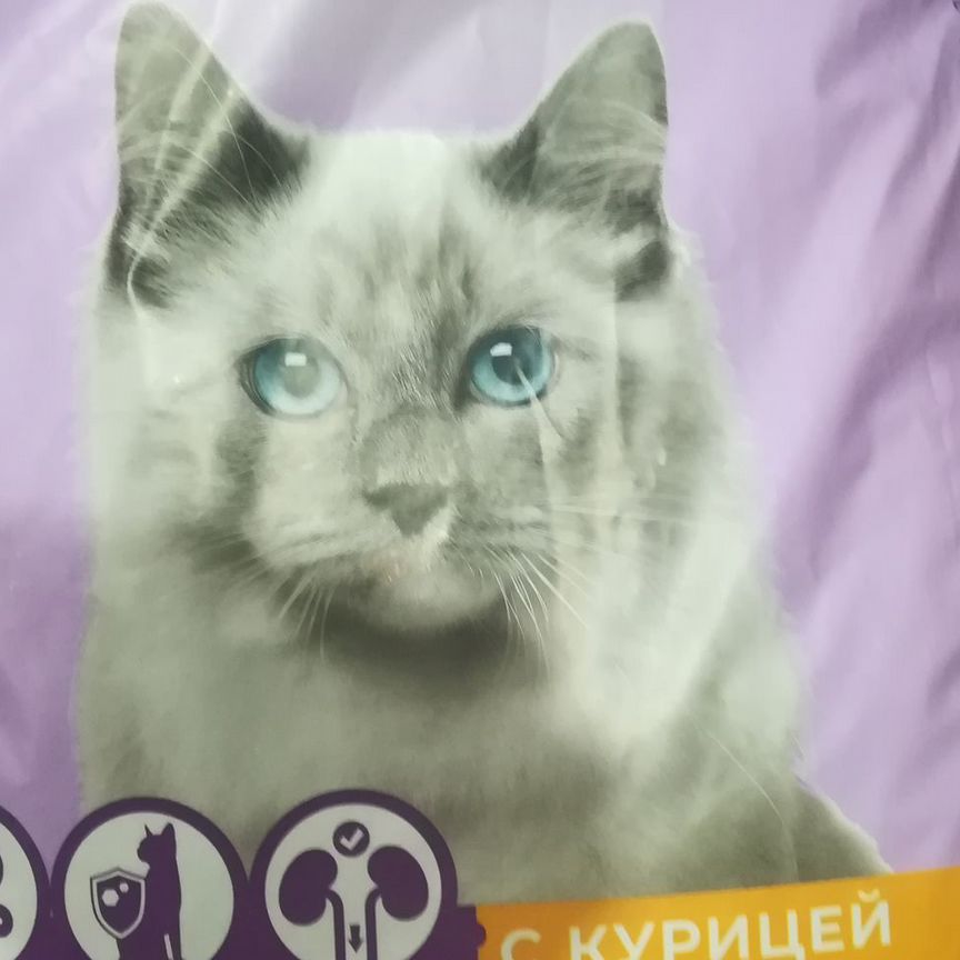 Корм для кошек Catland