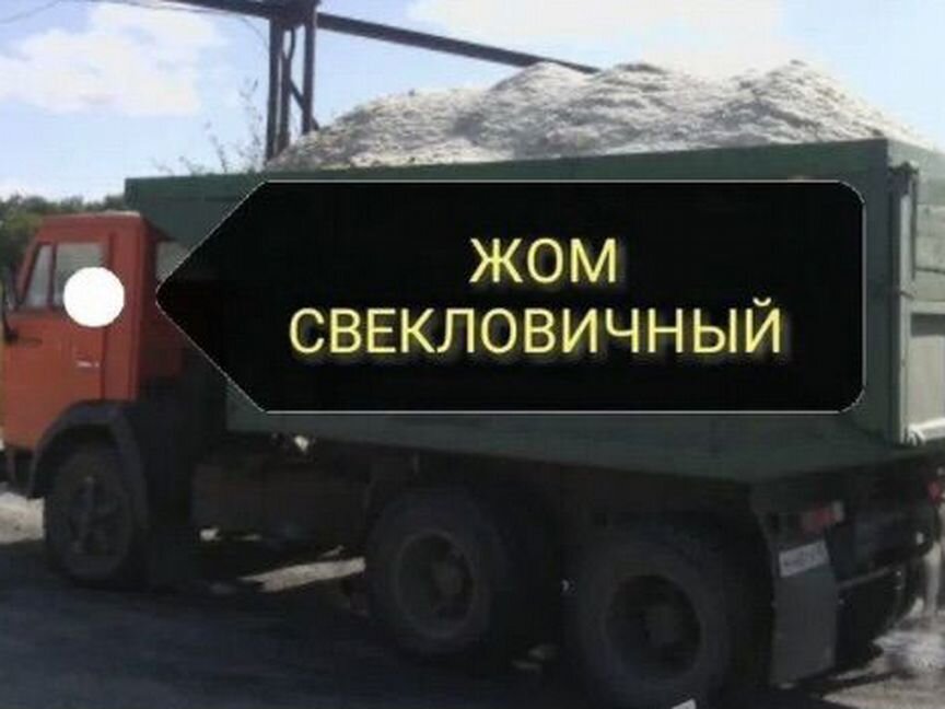 Жом свекловичный