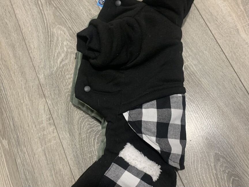 Одежда для собак