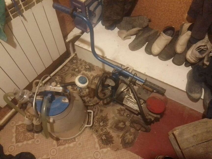 Сельское хозяйство