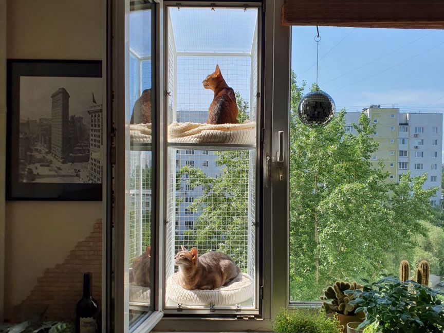 Балкон для кошки, вольер