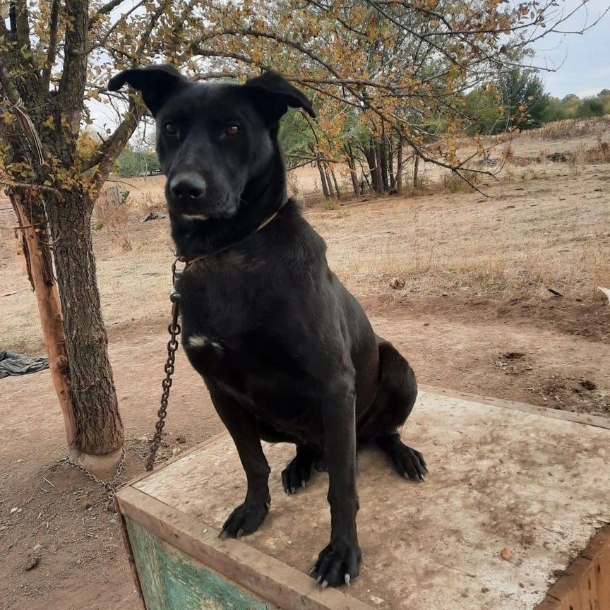 Предали люди я ищу дом