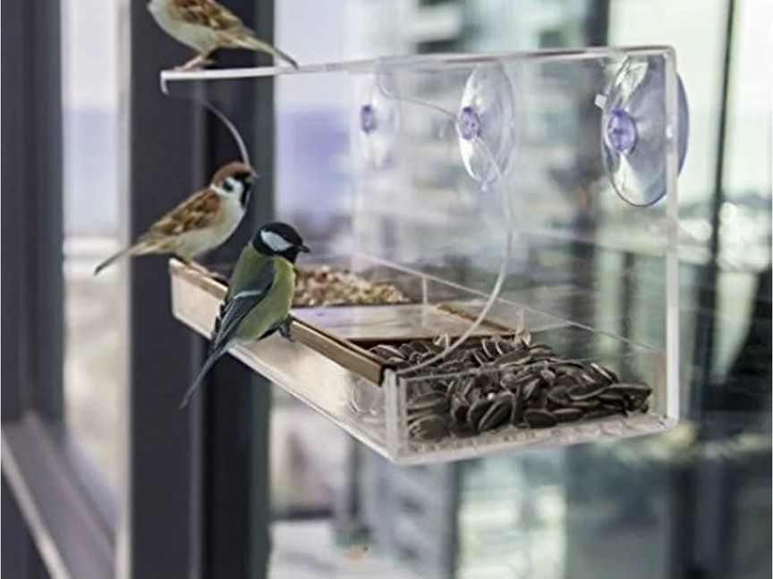 Кормушка для птиц прозрачная на окно