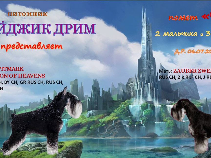 Чудесный щеночек