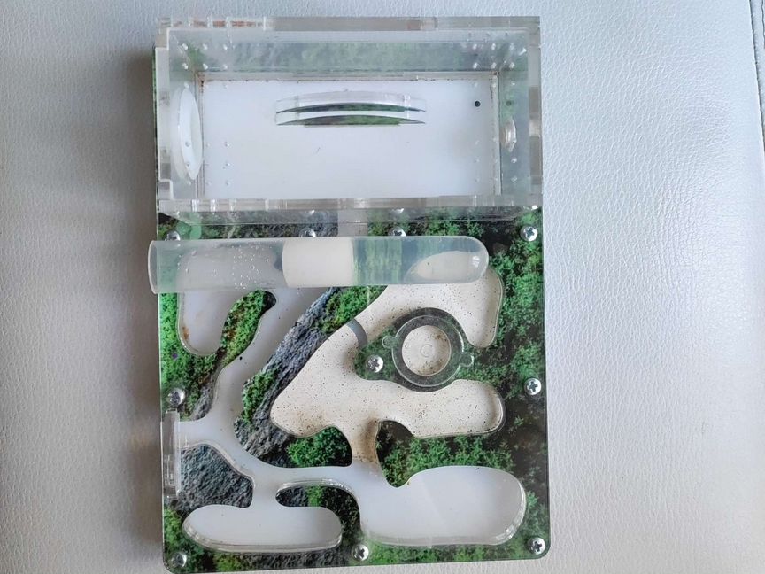 Домик для муравьёв