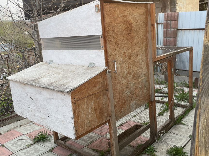 Курятник летний