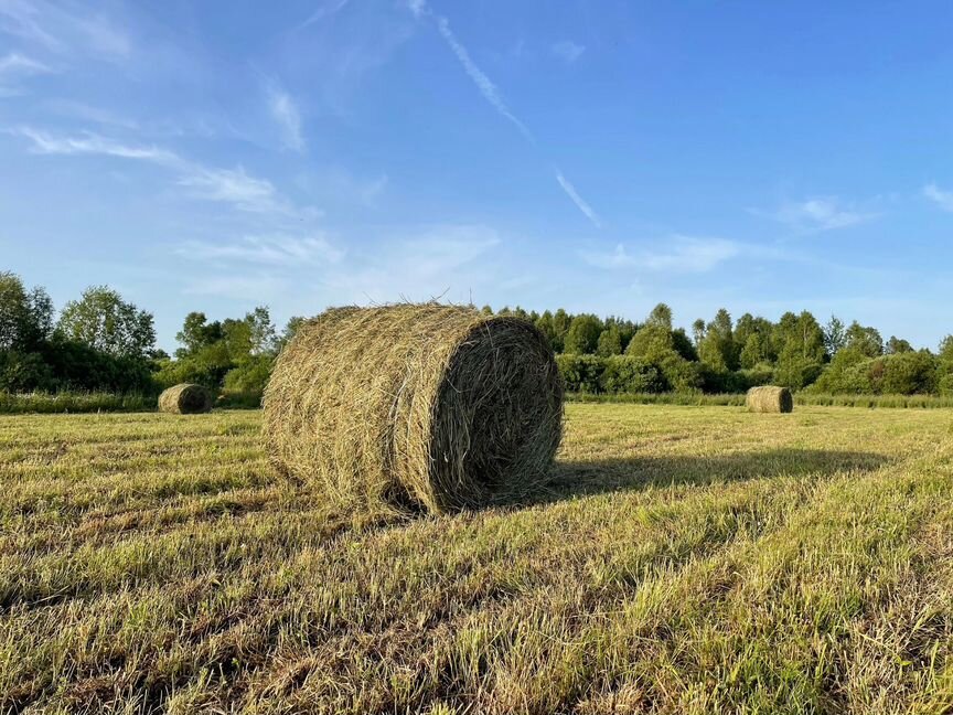 Сено в рулонах