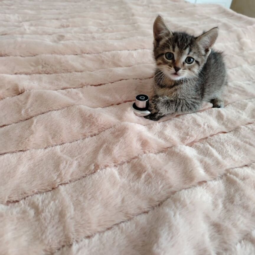 Маленький мальчик