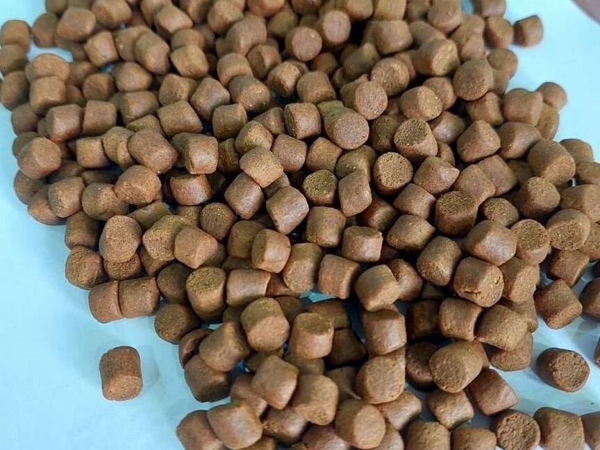 Корм для прудовых рыб