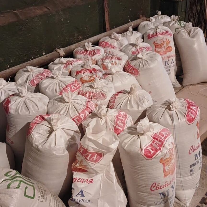 Зерно пшеница ячмень