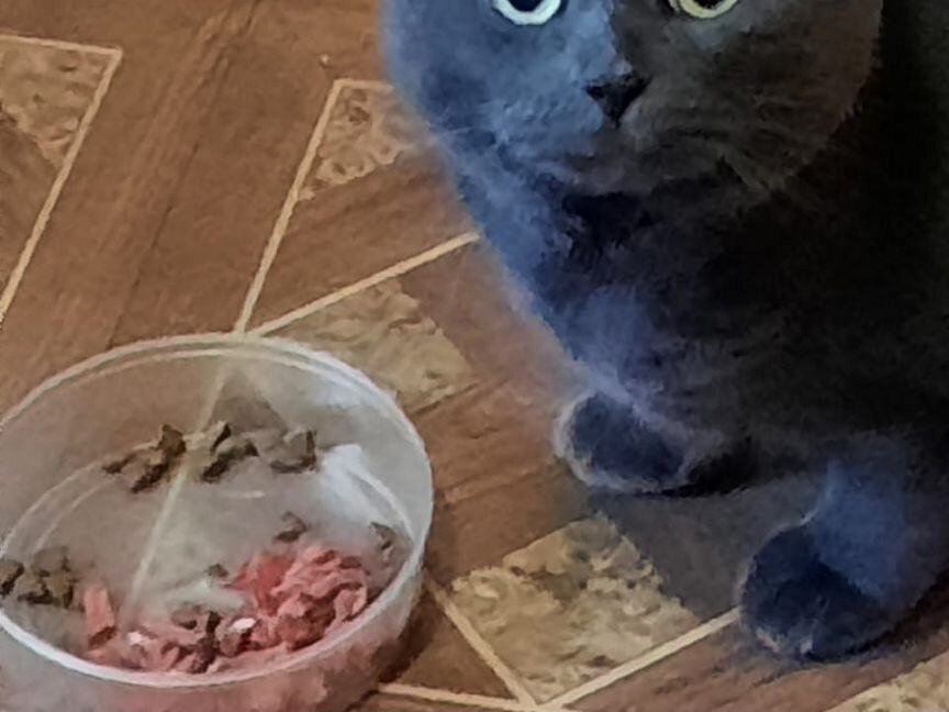 Британец окажется на улице