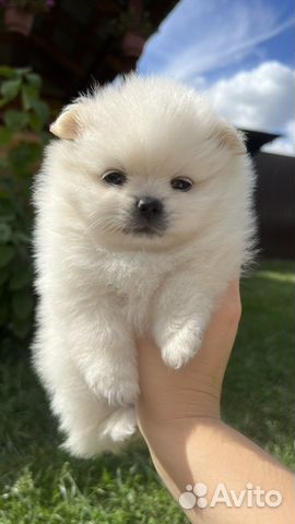 Милейший малыш