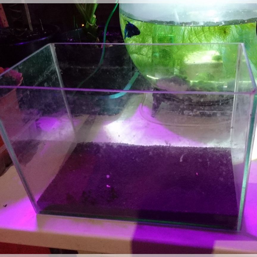 Аквариум 10л