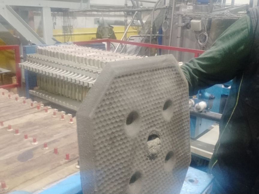 Фуз подсолнечника