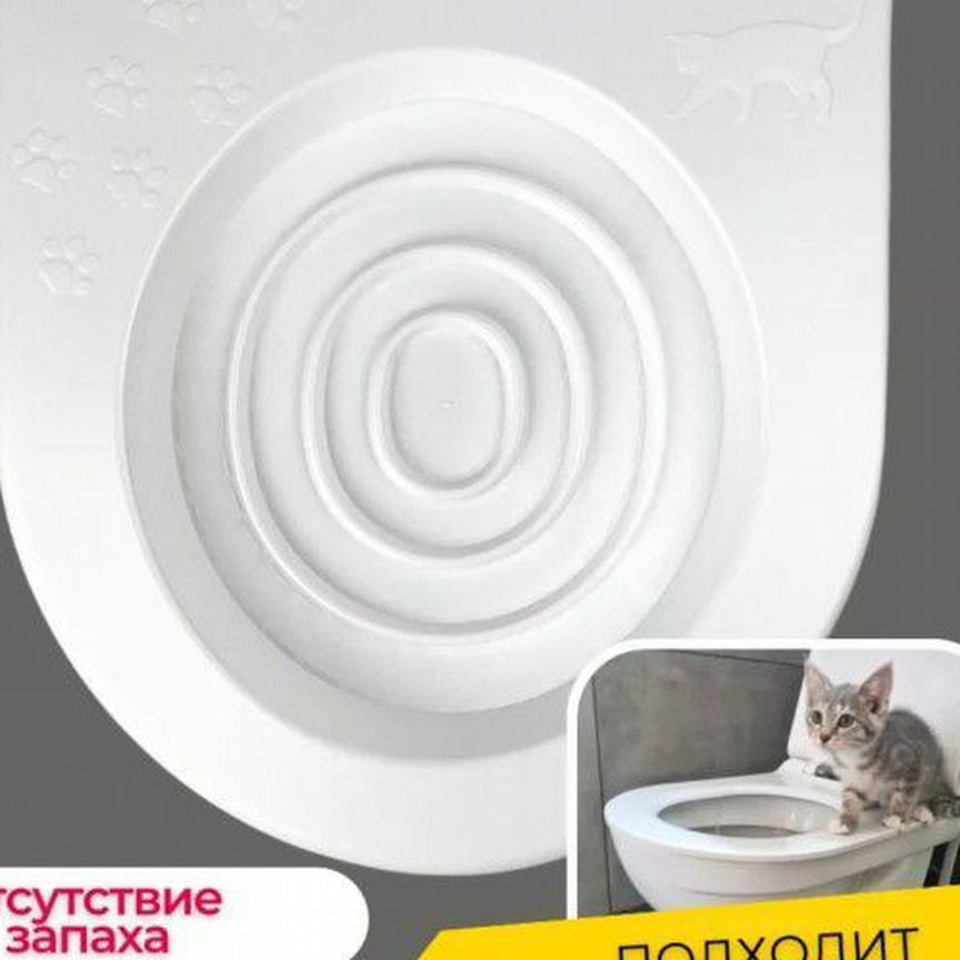 Приручить кошек к унитазу