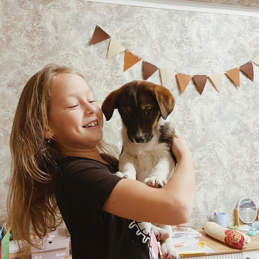 Няшная морковочка в дар