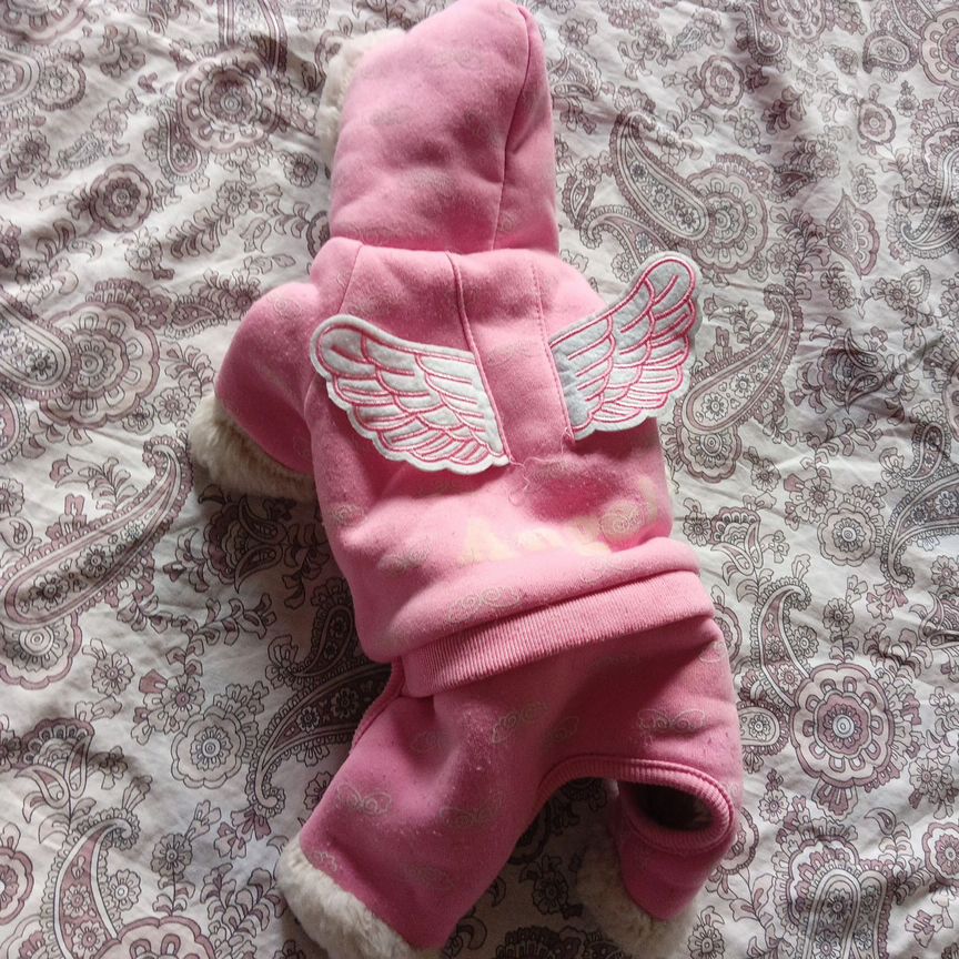 Одежда для маленьких собак