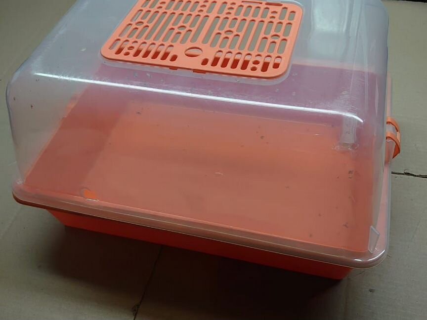 Террариум большой полупрозрачный 42х30ю5х22.5см