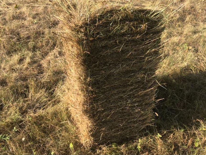 Сено солома в тюках