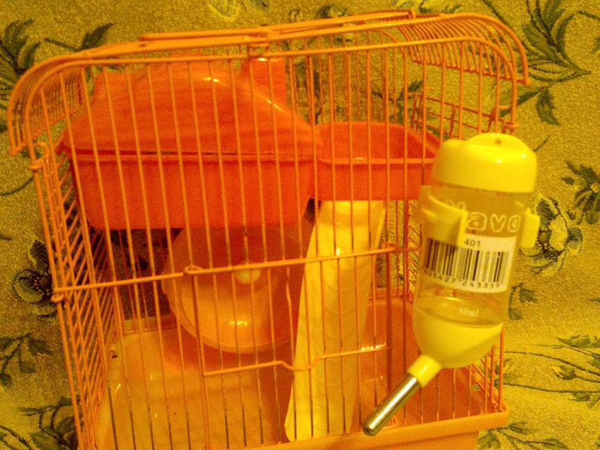 Клетка для хомяка. Домик, горка, колесо, поилка