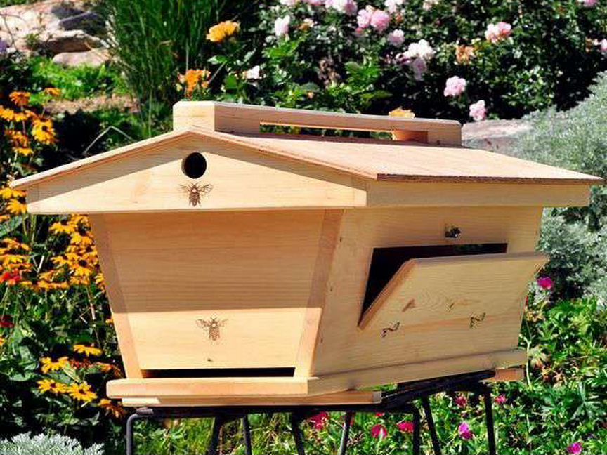 Кенийский улей с пчёлами