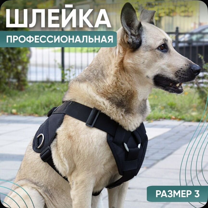 Шлейка для крупных собак анатомическая