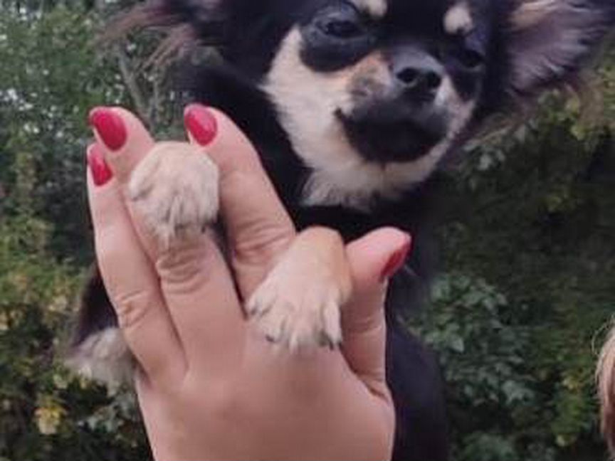 Мини девочки