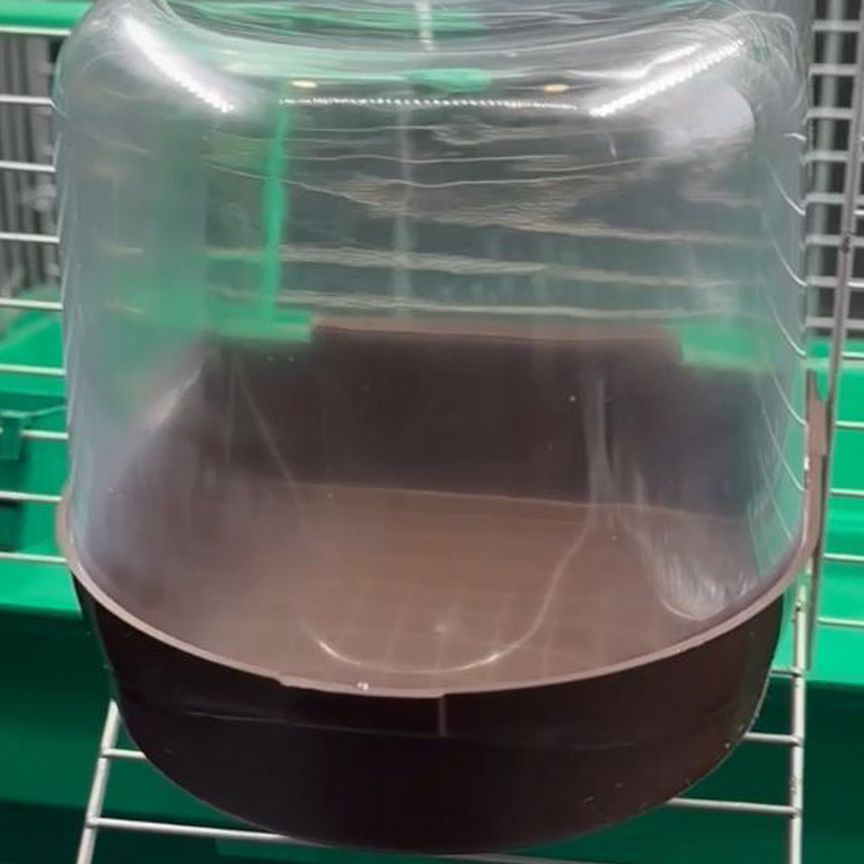 Купалка для попугая