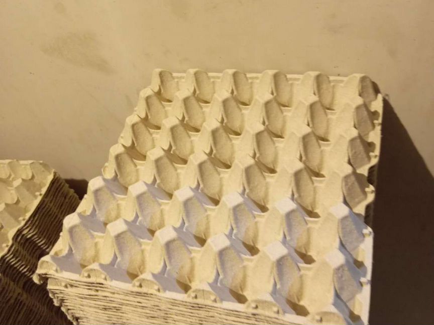 Лотки под яйца