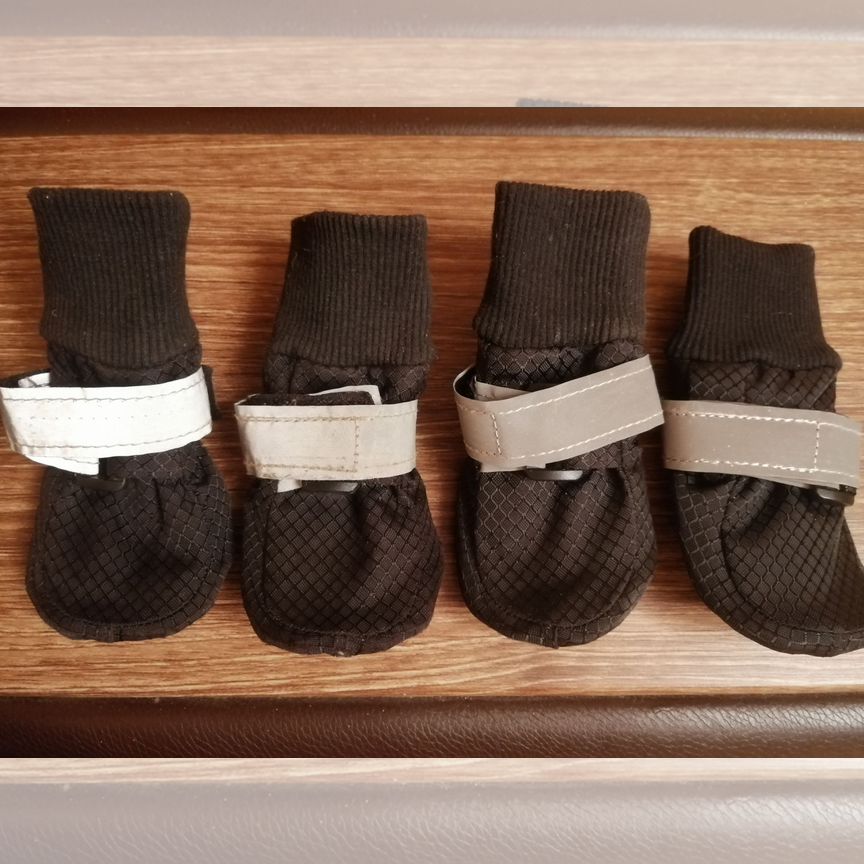 Продаются сапожки для собаки