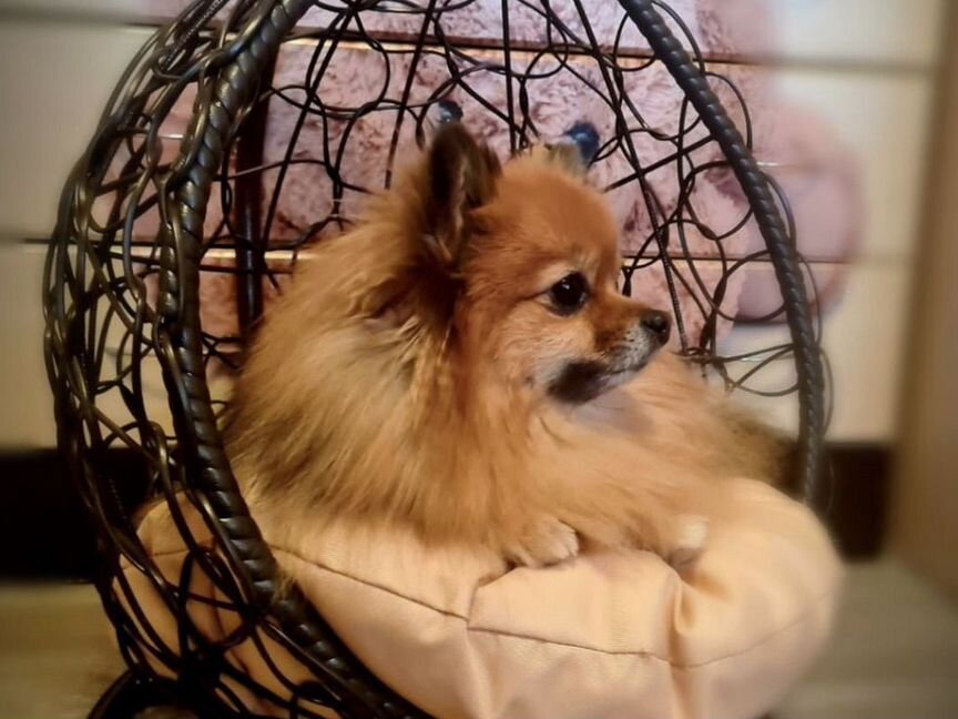 Лежанка для животных