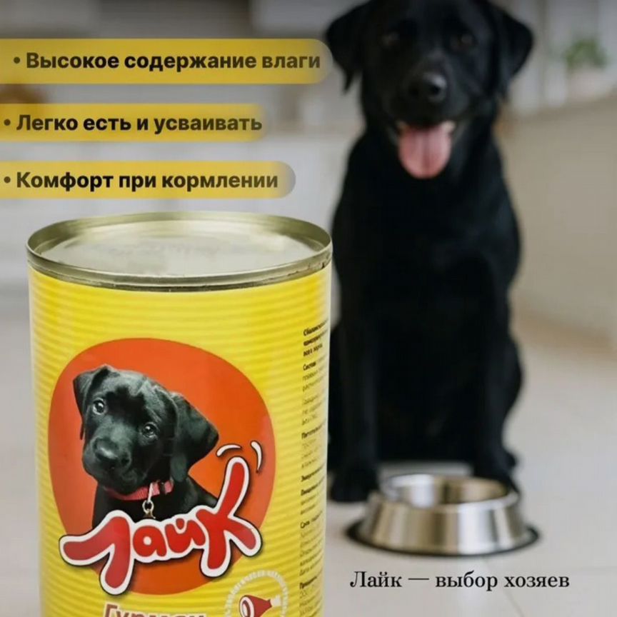 Корм для собак