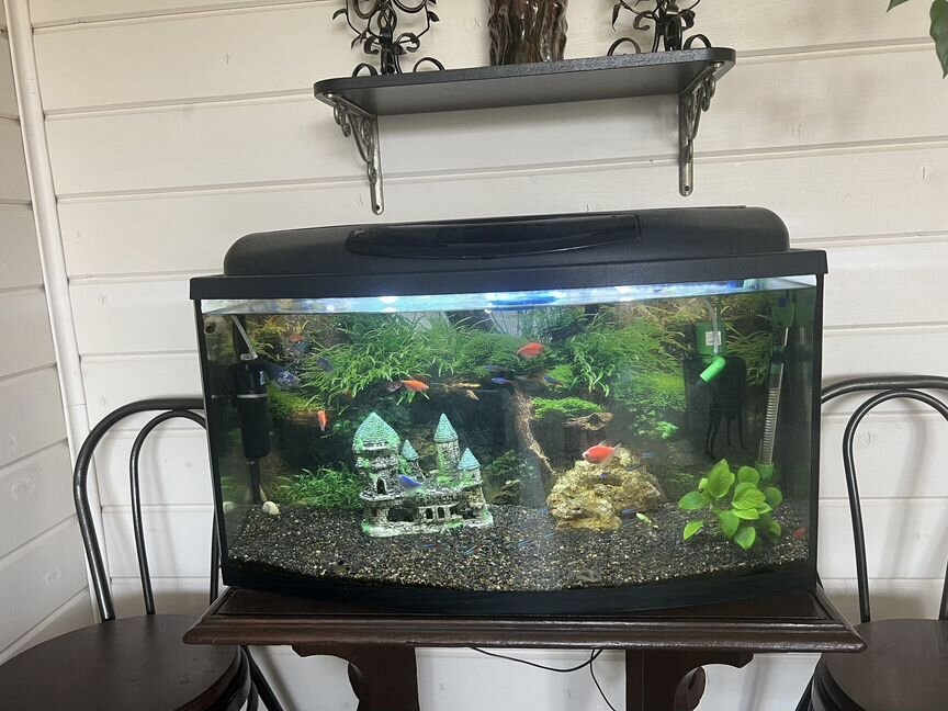 Аквариум 100Л с оборудованием, рыбами и декор