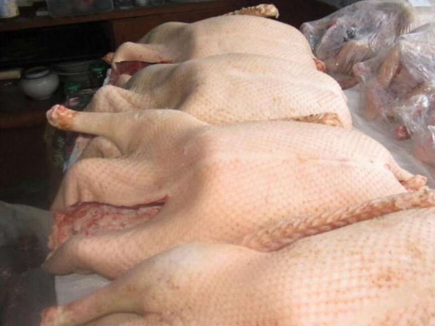 Гусиное мясо домашнее