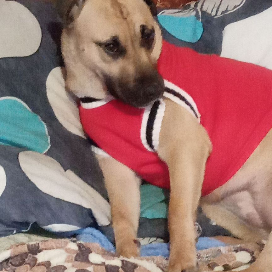 Ищем кабеля для вязки