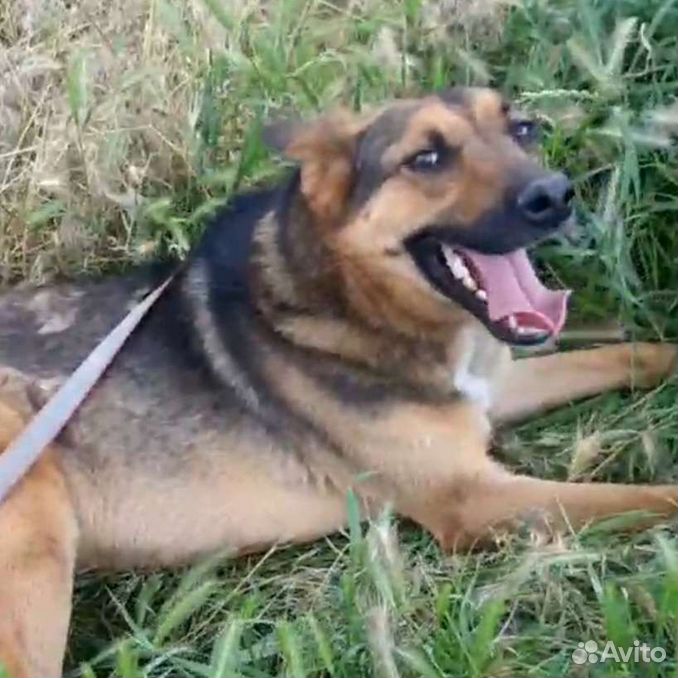 Спасите мальчика из,черного, приюта