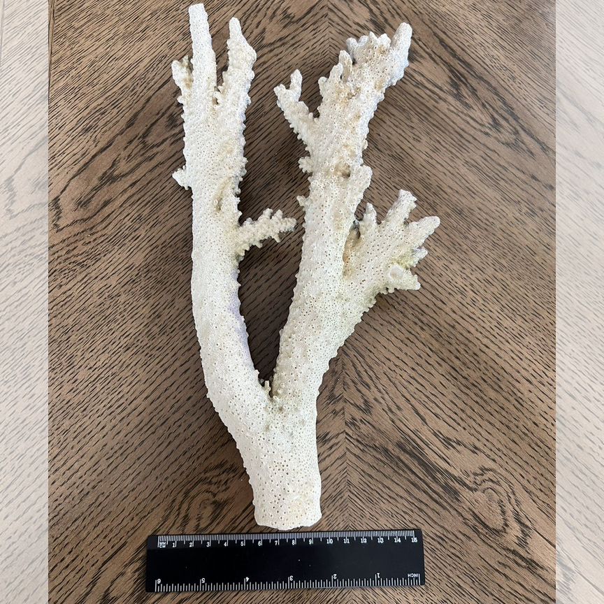 Аквариумные декорации, коралл, коряга, грот