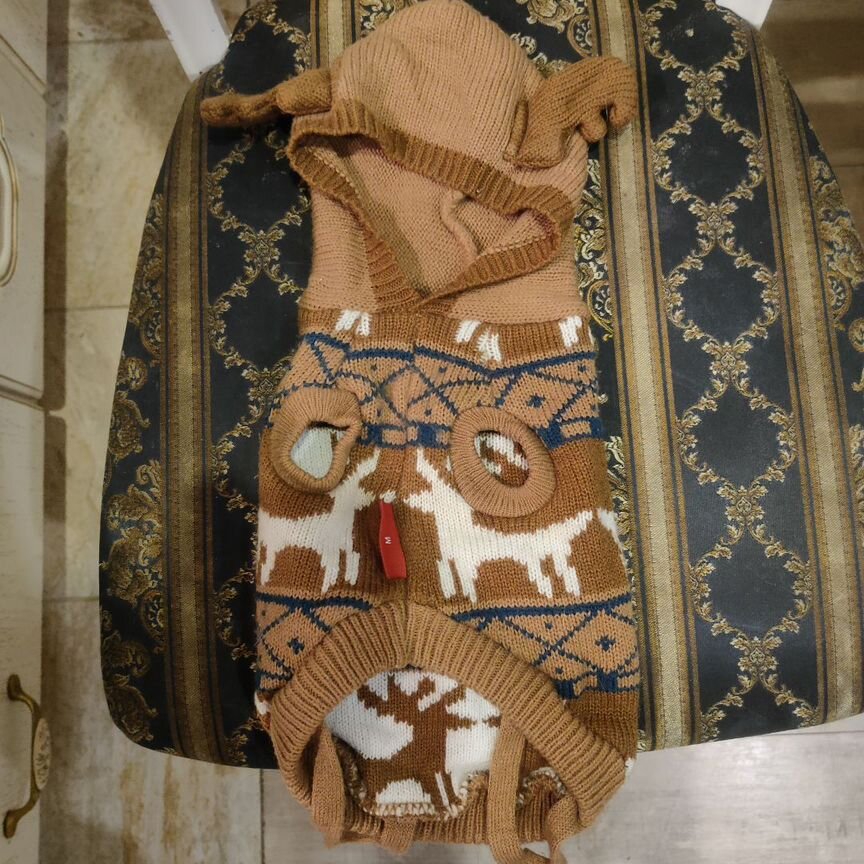 Костюм для собаки