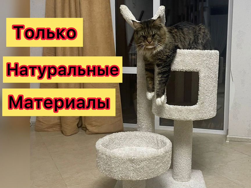 Когтеточка