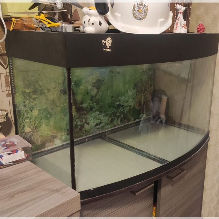 Аквариум с инвентарем