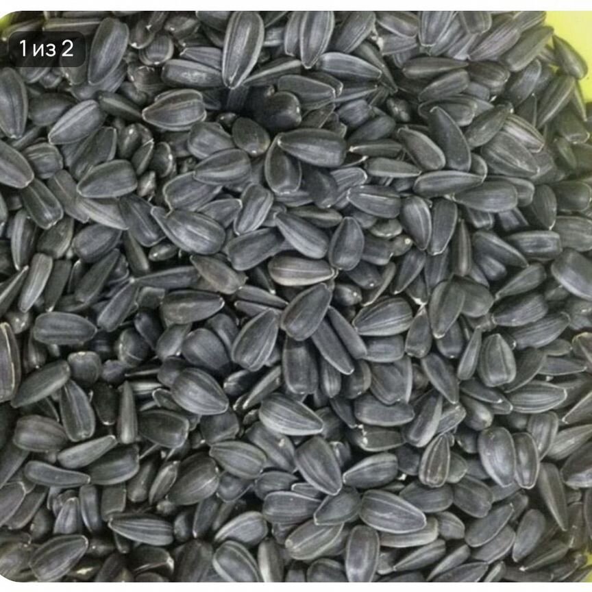 Семечки подсолнечника