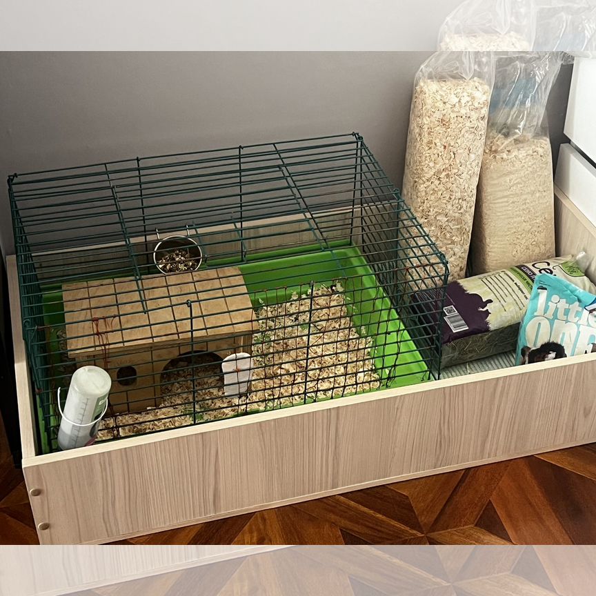 Клетка для морской свинки бу