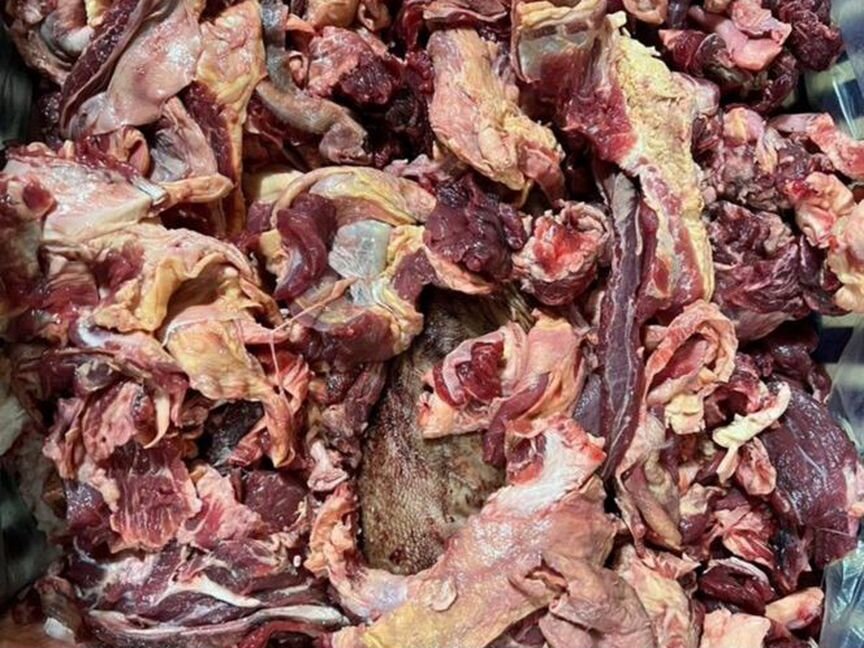 Мясо говядина для собак