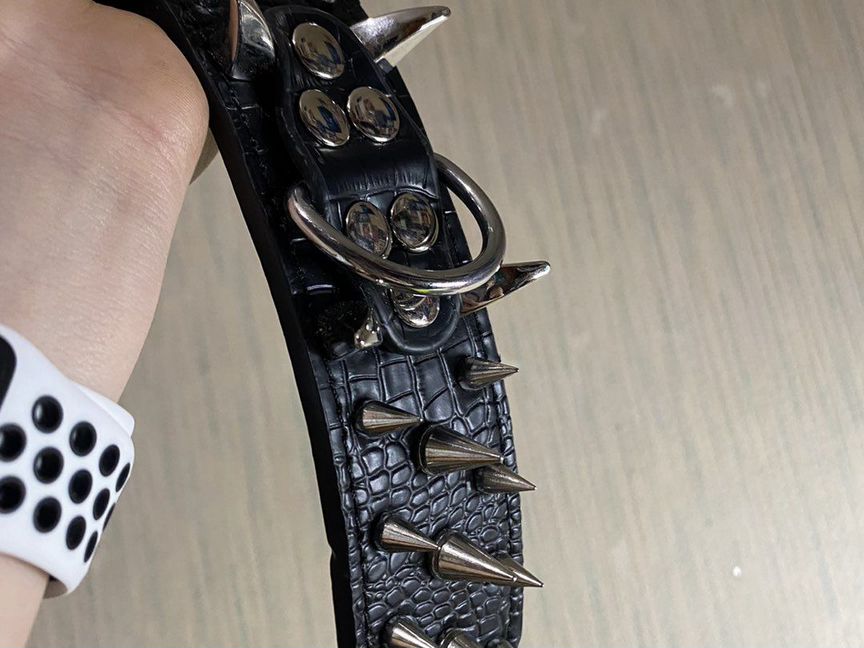 Ошейник с шипами